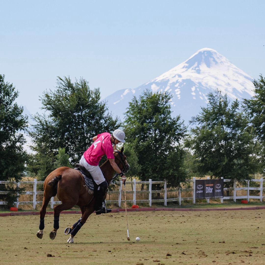 Copa Polo Sur En Puerto Varas, Chile — PoloHUB